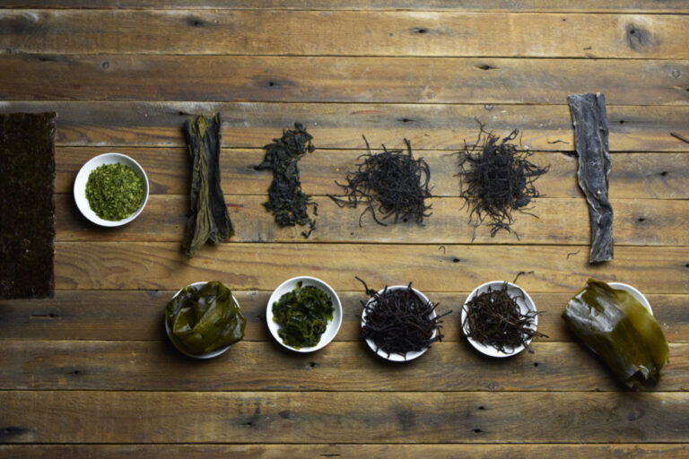 Dive into the variety of seaweed types: flavour, origin and use